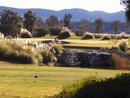 Diamond Valley Golf Club Details and Information in Southern California ...